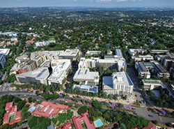 Leasing & Sales - Intaprop