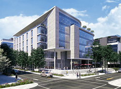 Leasing & Sales - Intaprop